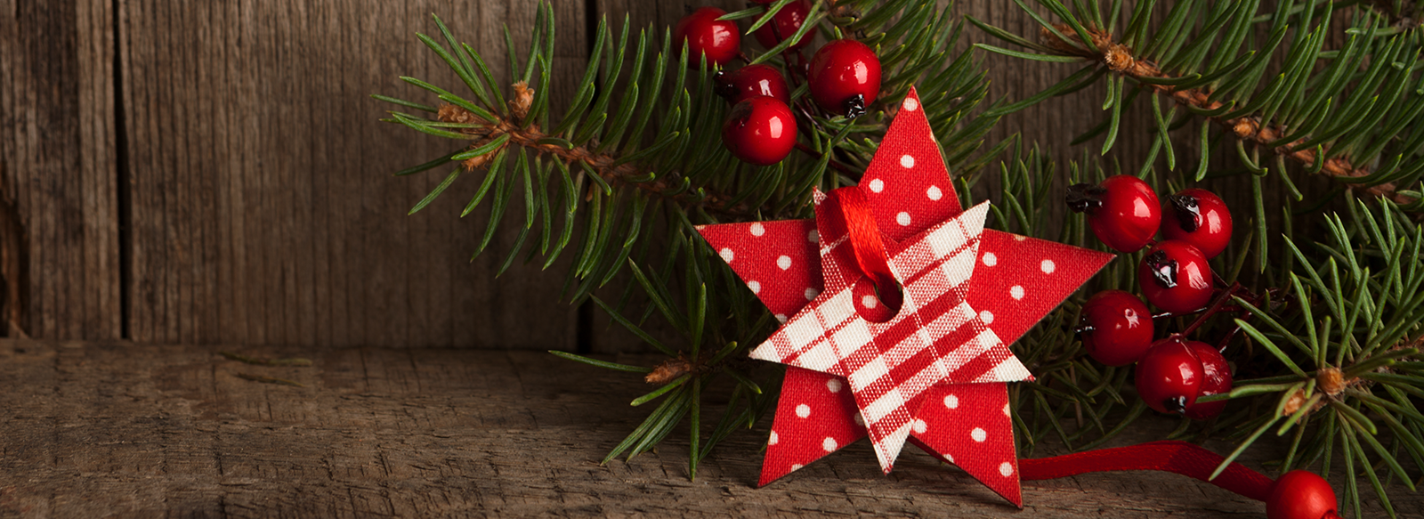 La Rucola | Ristorante und Trattoria | Wiesbaden | Parkstraße 42a